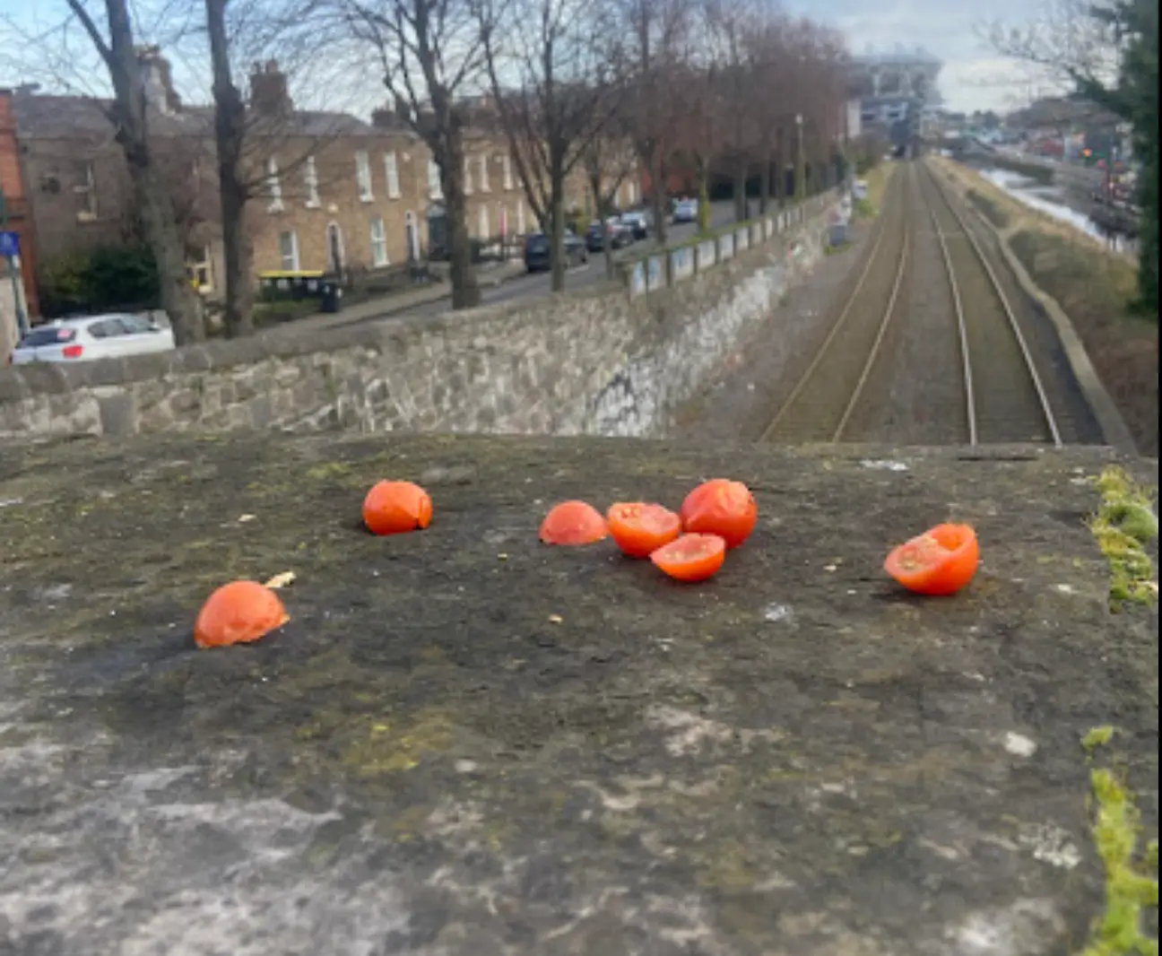 The Mysterious Drumcondra Cherry Tomato Bridge Explained - Goosed.ie